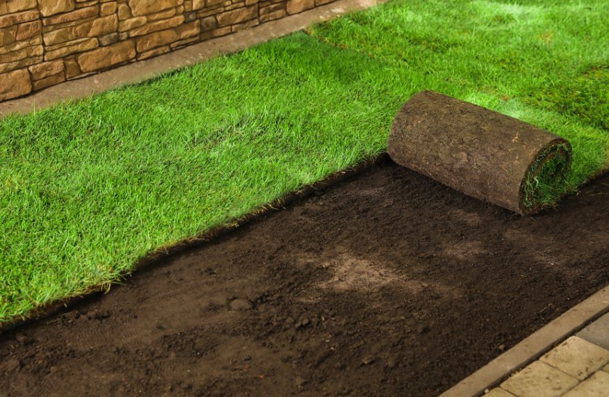 Tips for perfect lawn - ABC Gardening Australia magazine