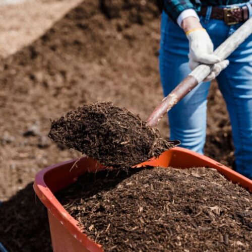 Clever ways with compost - ABC Gardening Australia magazine
