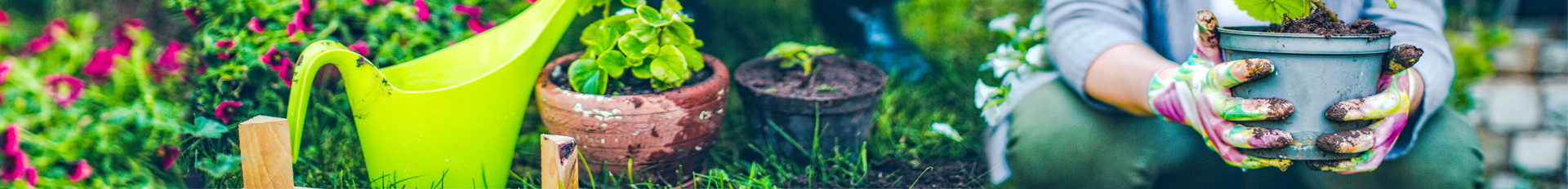 Meet the team - ABC Gardening Australia magazine