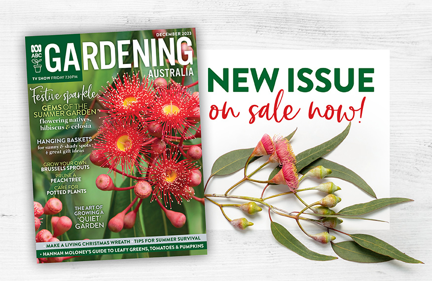 December issue Gardening Australia - ABC Gardening Australia magazine