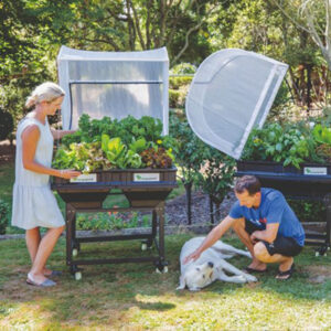 Vegepod Archives - ABC Gardening Australia magazine