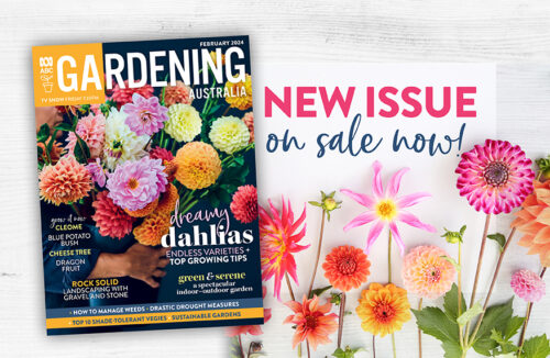 In-this-issue_876x571pxl_web- (1) - ABC Gardening Australia magazine
