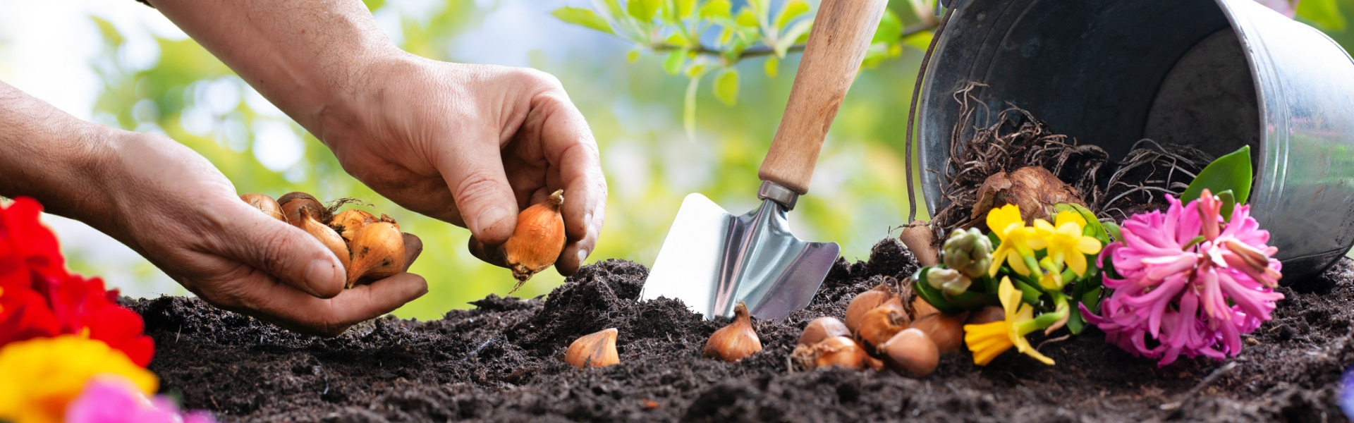 ABC Gardening Australia magazine