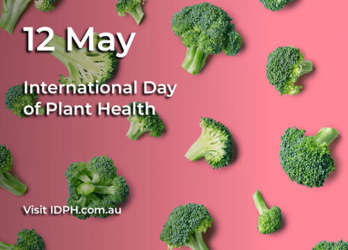 International Day of Plant Health - ABC Gardening Australia magazine