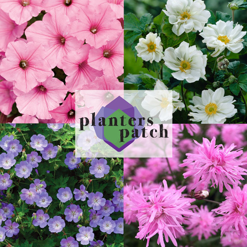 Product showcase - ABC Gardening Australia magazine