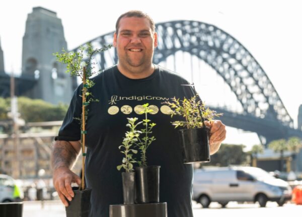 IndigiGrow 'Caring for Country' Launch Event - ABC Gardening Australia ...