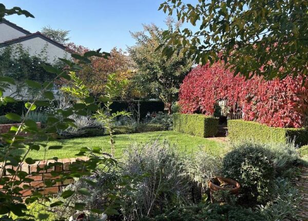 Merryway - ABC Gardening Australia magazine
