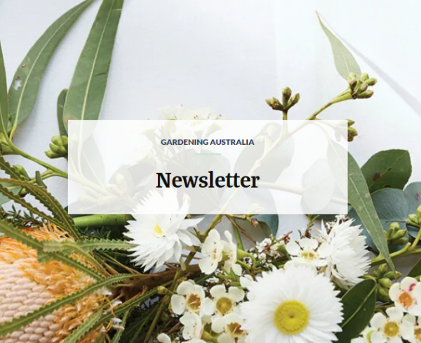 dfgdfg - ABC Gardening Australia magazine